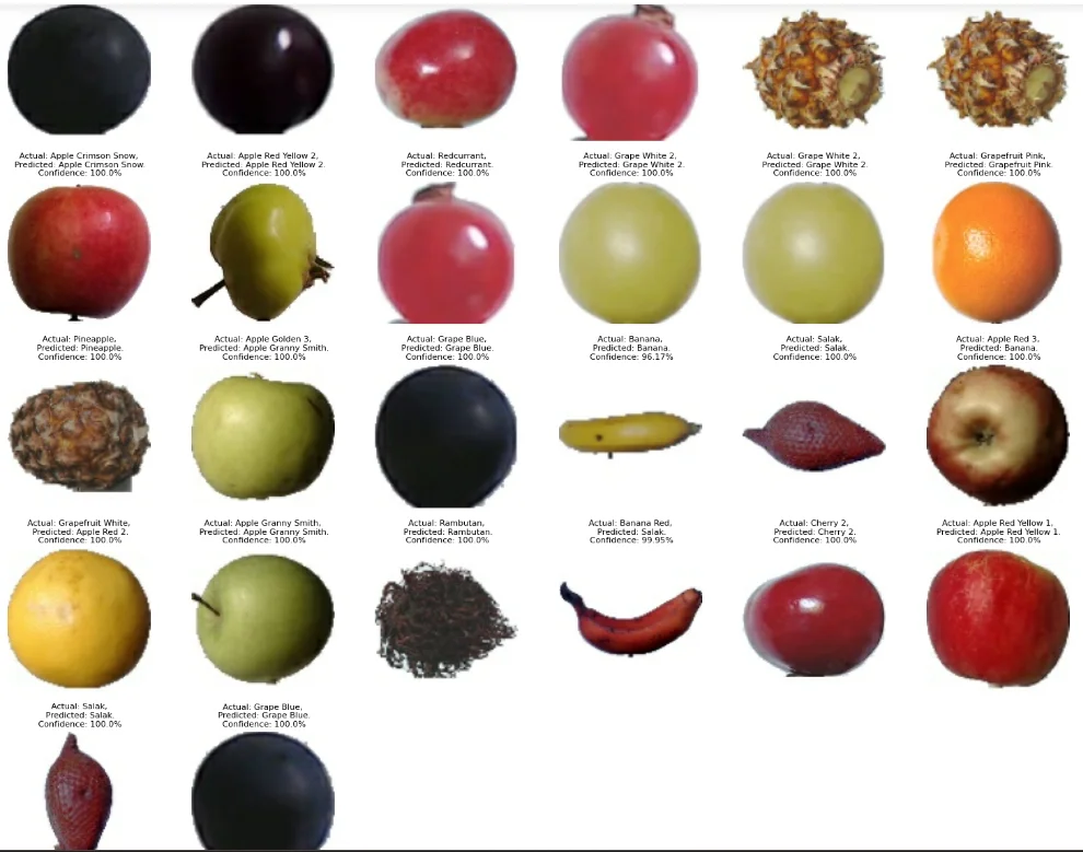 A Guide For Multi-label Fruit Identification Model [Updated]